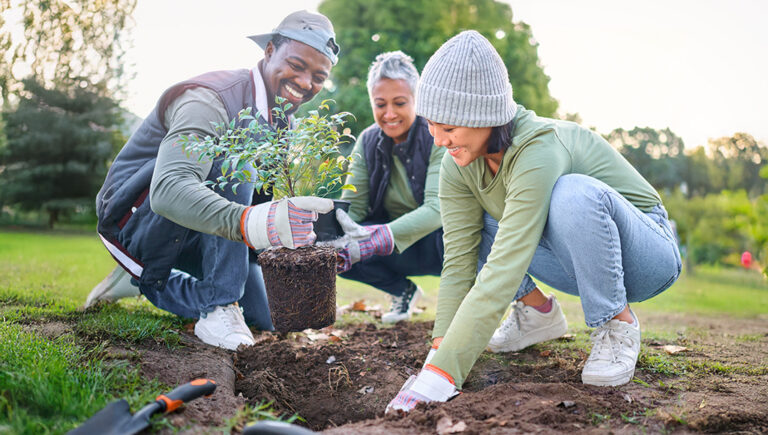 IntouchCX: Where Growth Meets Sustainability - IntouchCX